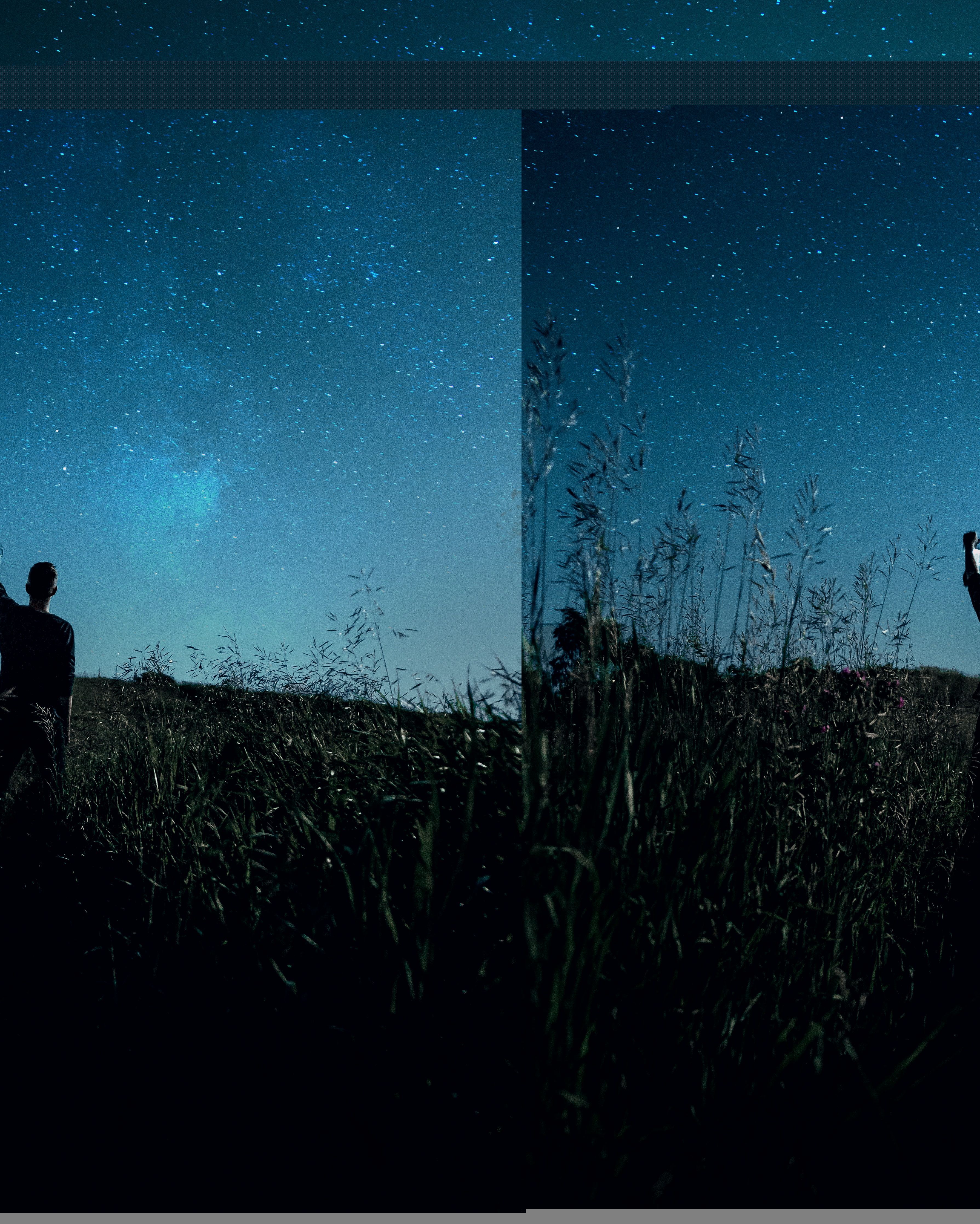 Night Grass Wallpapers - Top Free Night Grass Backgrounds - WallpaperAccess