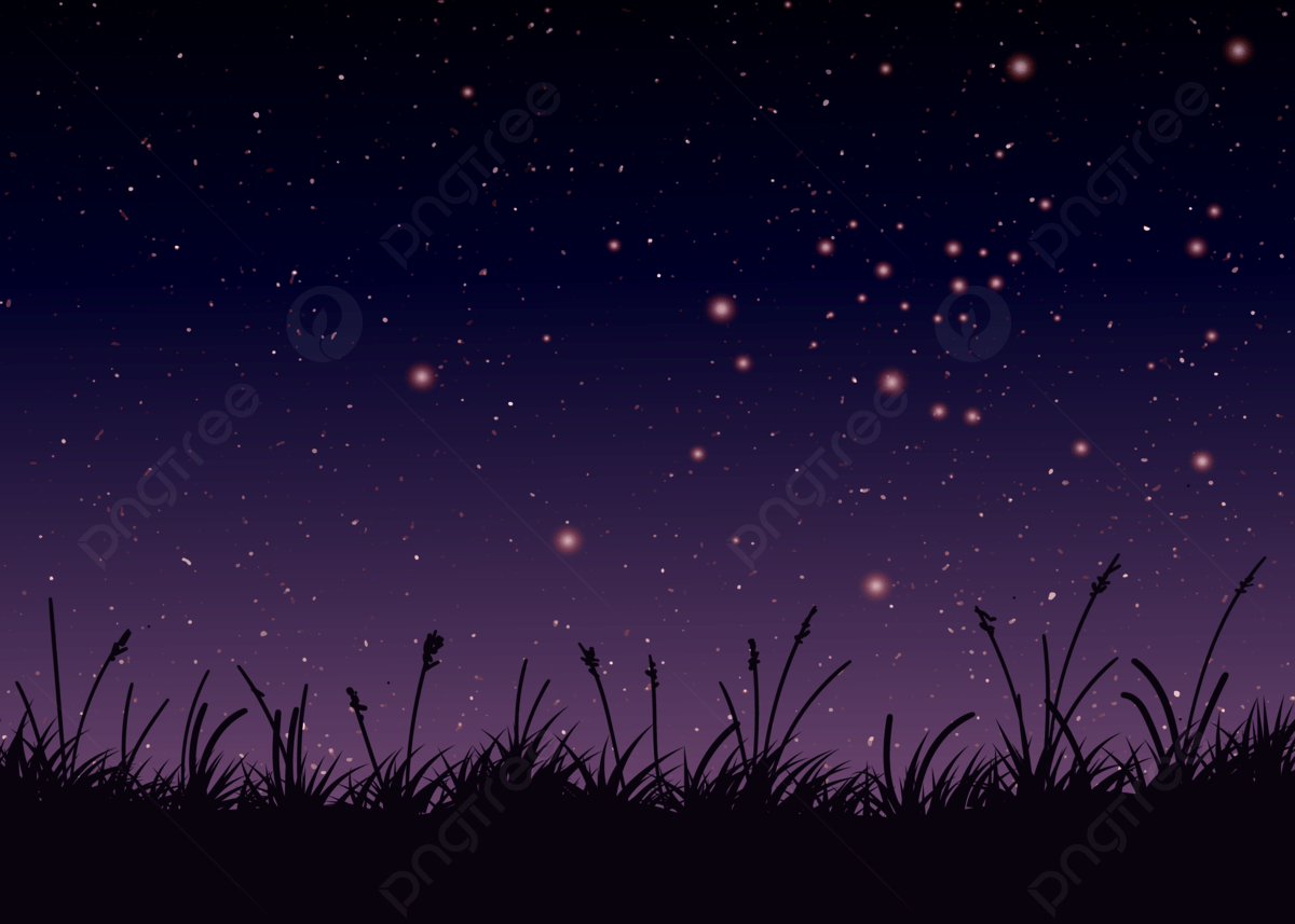 Night Grass Wallpapers - Top Free Night Grass Backgrounds - WallpaperAccess