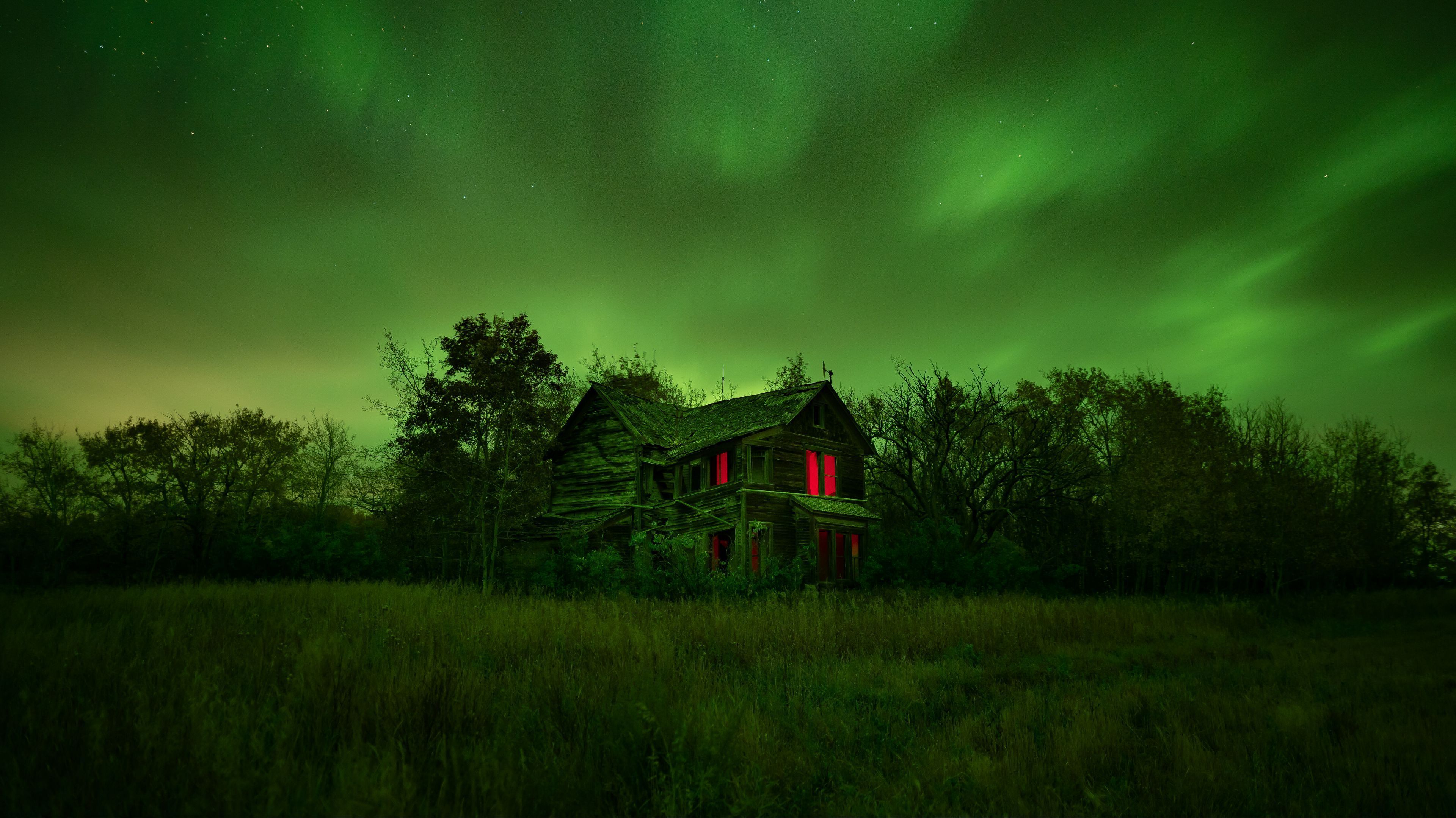 Night Grass Wallpapers - Top Free Night Grass Backgrounds - WallpaperAccess