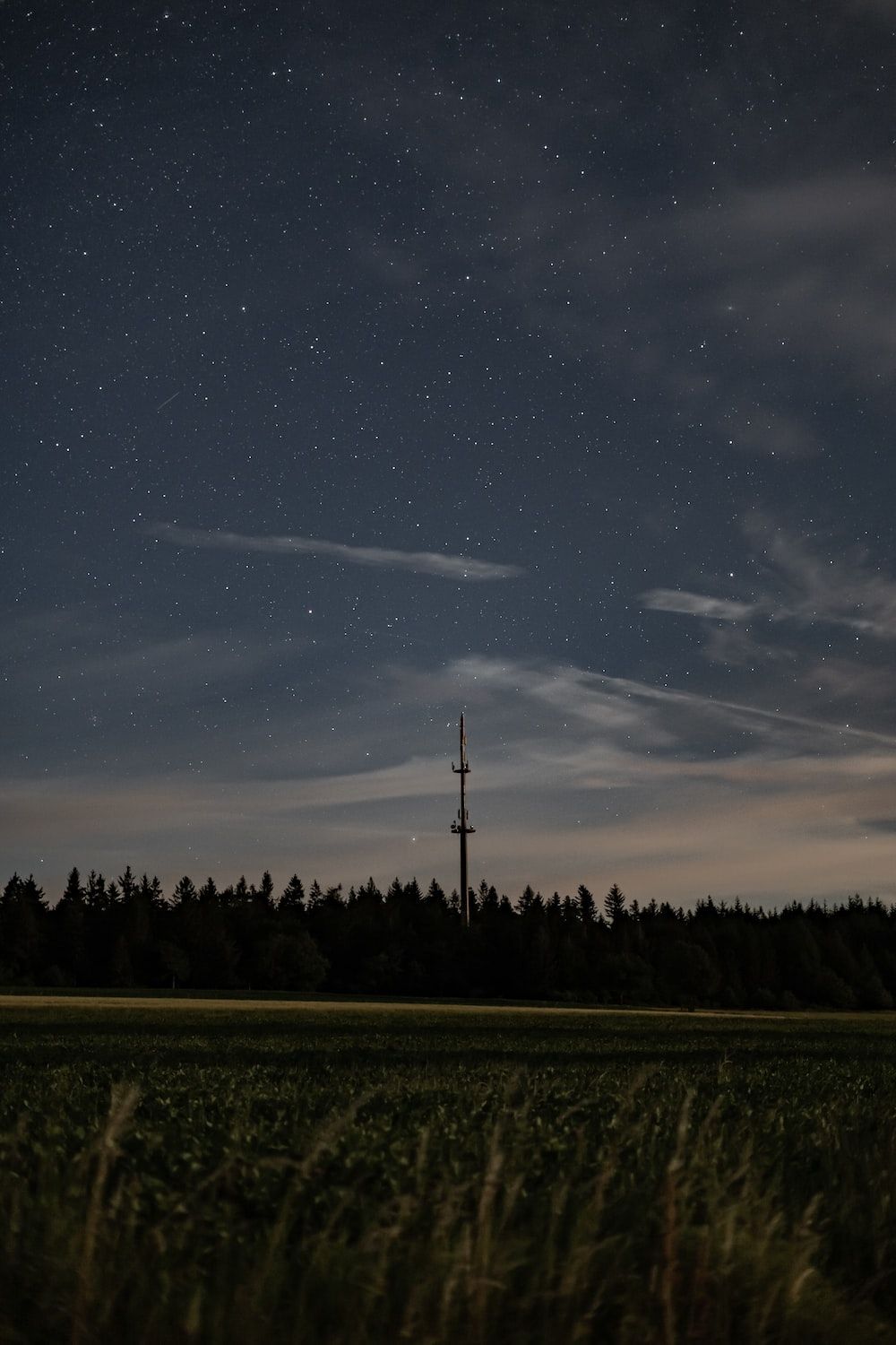 Night Grass Wallpapers - Top Free Night Grass Backgrounds - WallpaperAccess