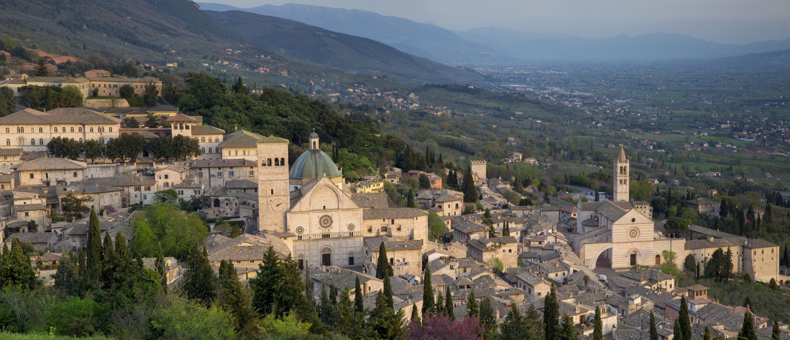 Assisi Wallpapers - Top Free Assisi Backgrounds - WallpaperAccess