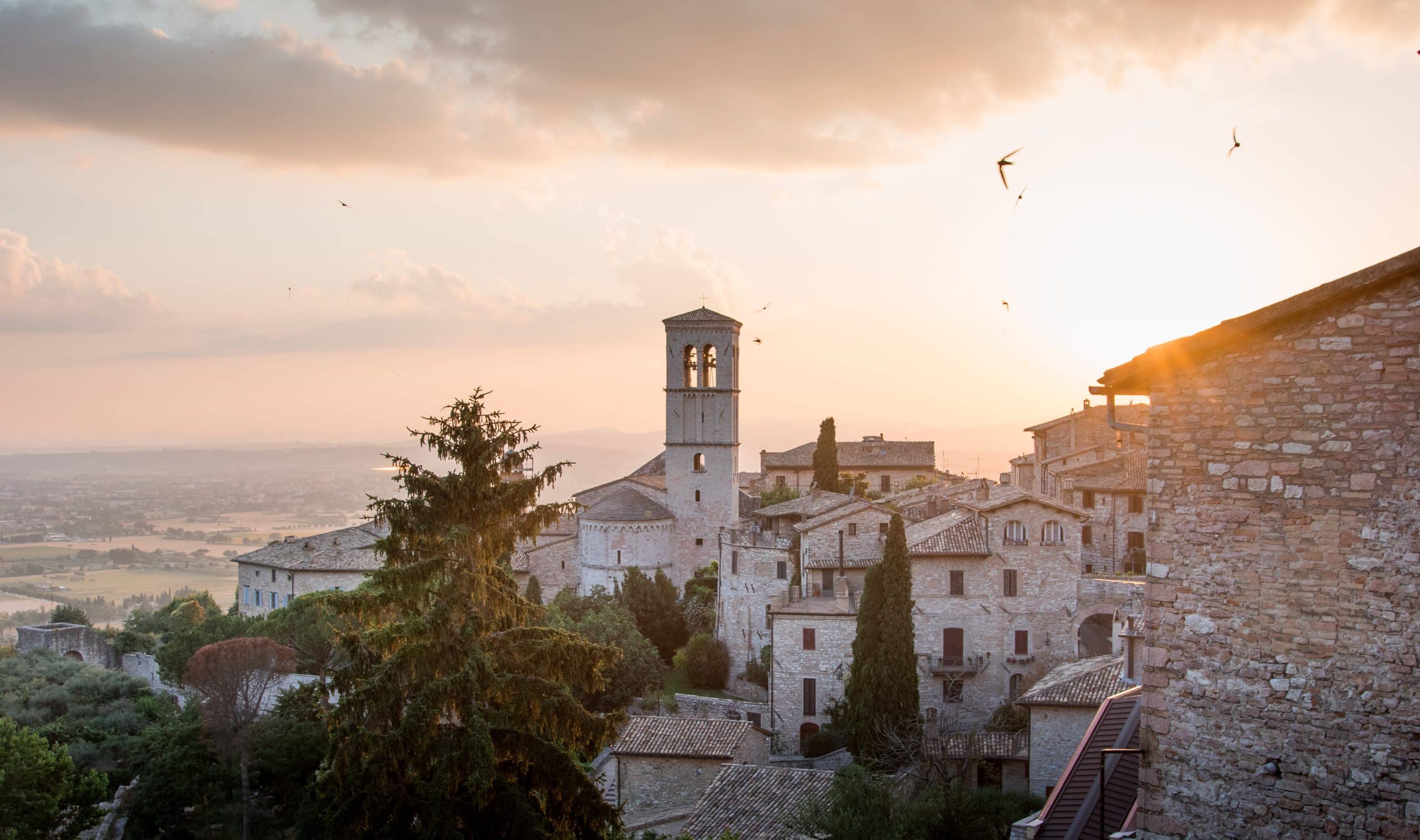 Assisi Wallpapers - Top Free Assisi Backgrounds - WallpaperAccess