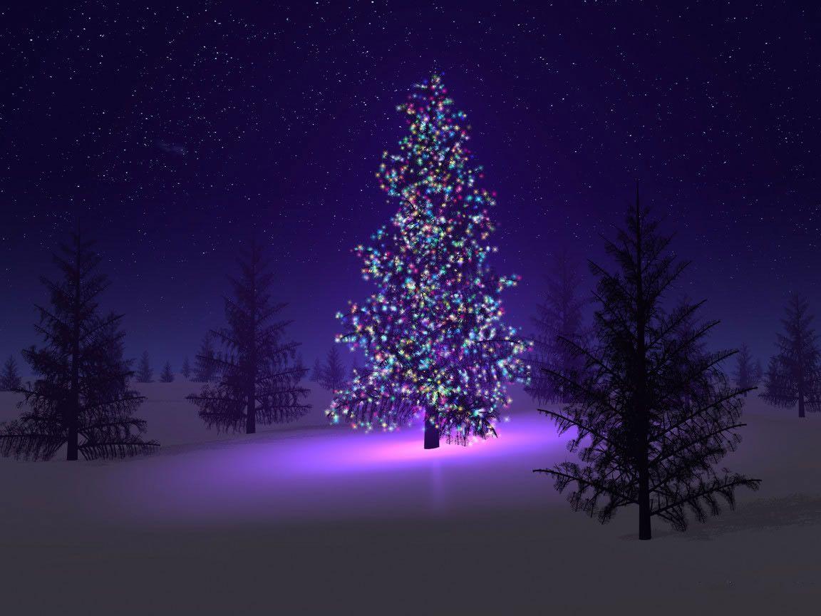 Christmas High Resolution Nature Wallpapers - Top Free Christmas High ...