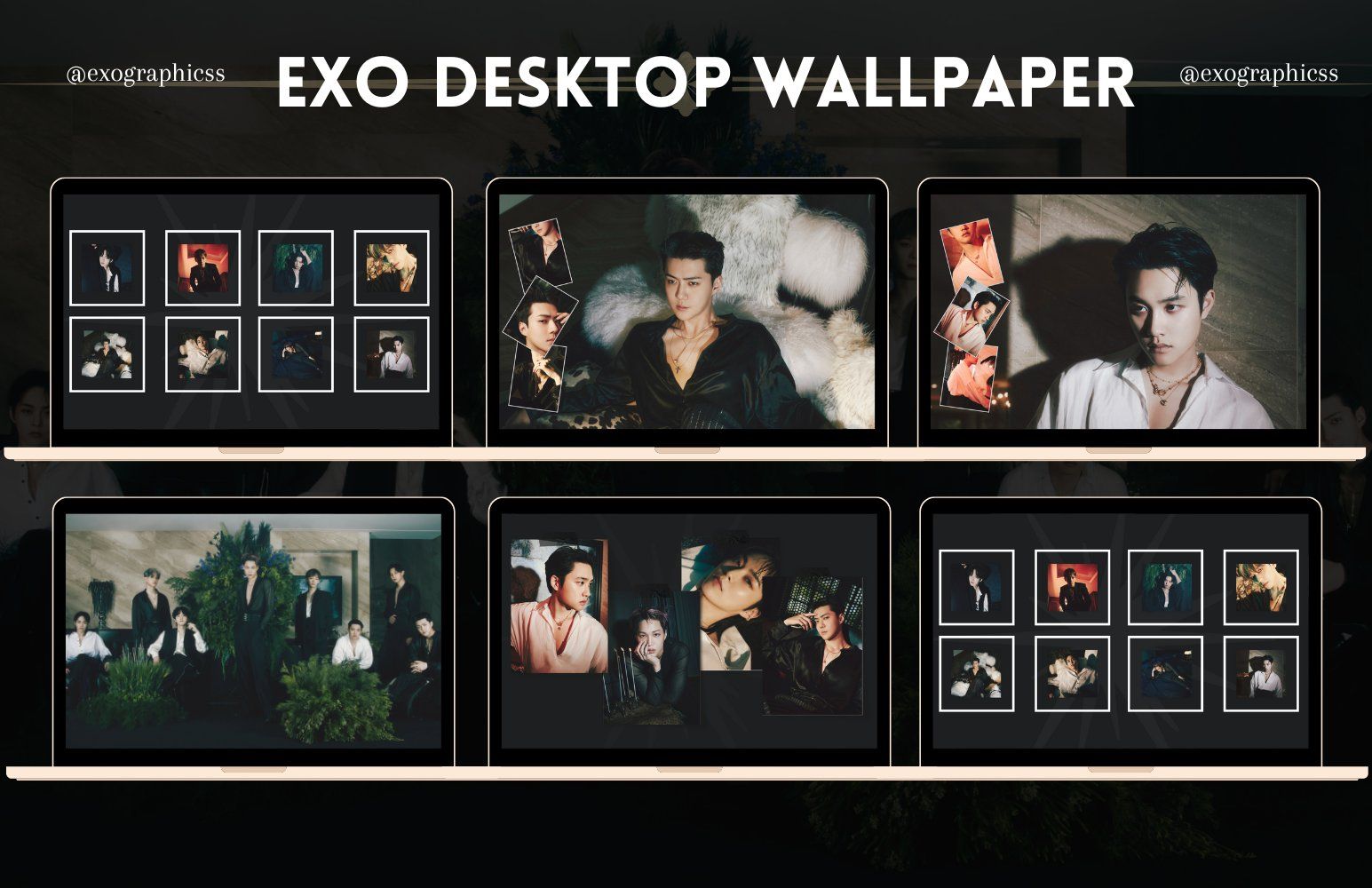Exo 2023 Wallpapers - Top Free Exo 2023 Backgrounds - WallpaperAccess
