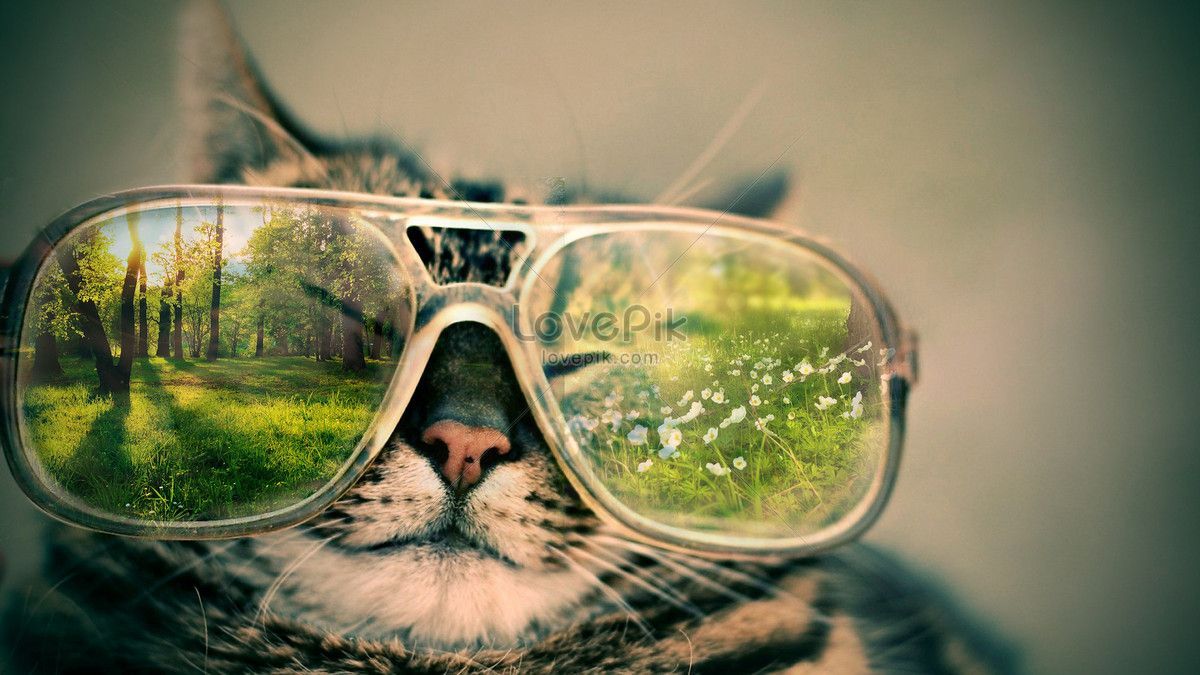 Spectacles Wallpapers - Top Free Spectacles Backgrounds - WallpaperAccess