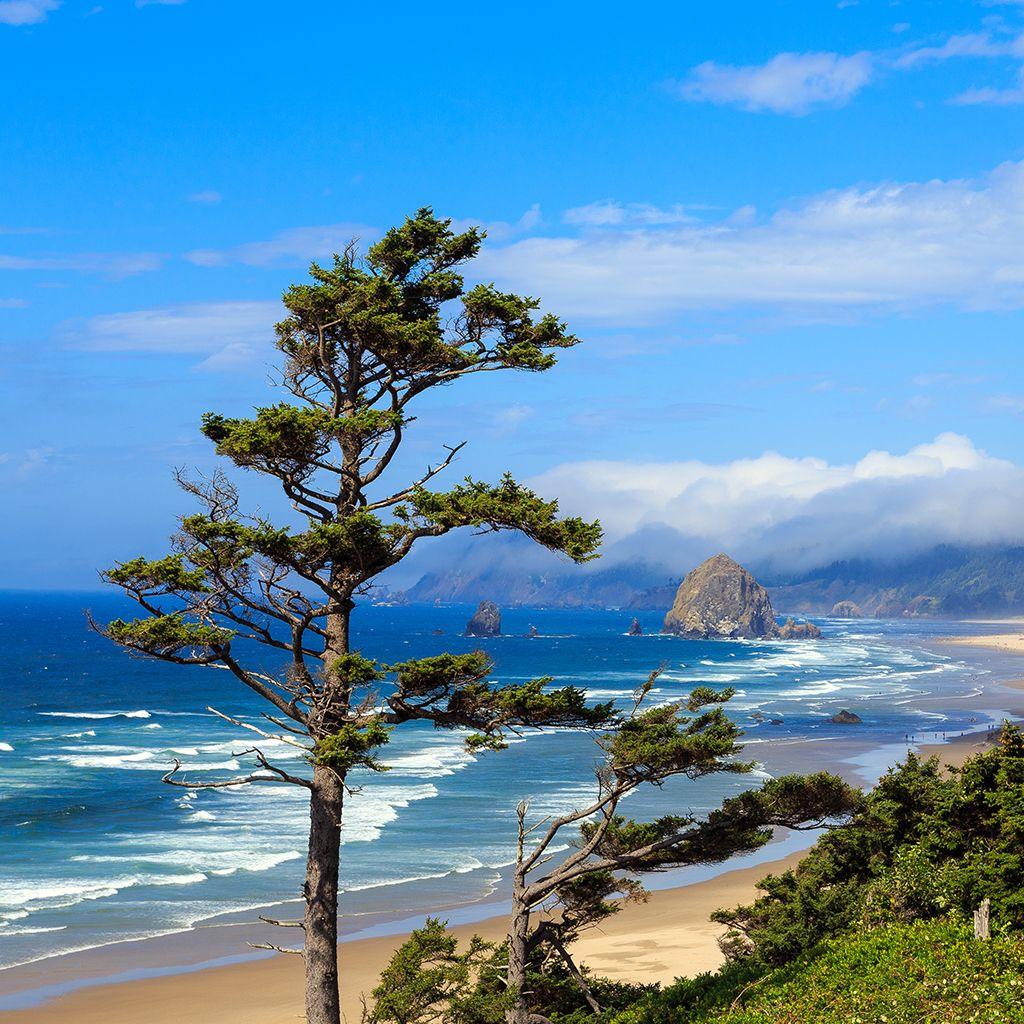 Oregon Coast Wallpapers - Top Free Oregon Coast Backgrounds ...