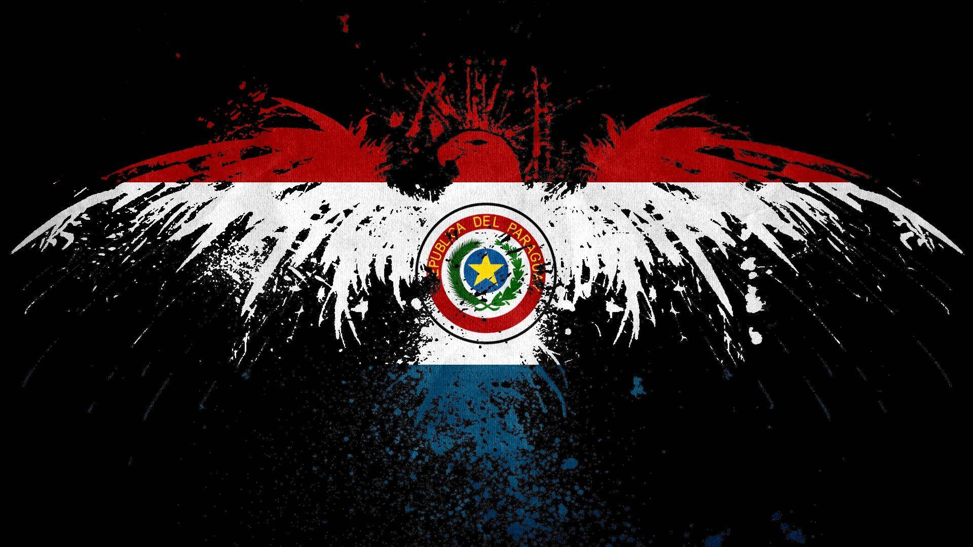 Paraguay Flag Wallpapers - Top Free Paraguay Flag Backgrounds ...
