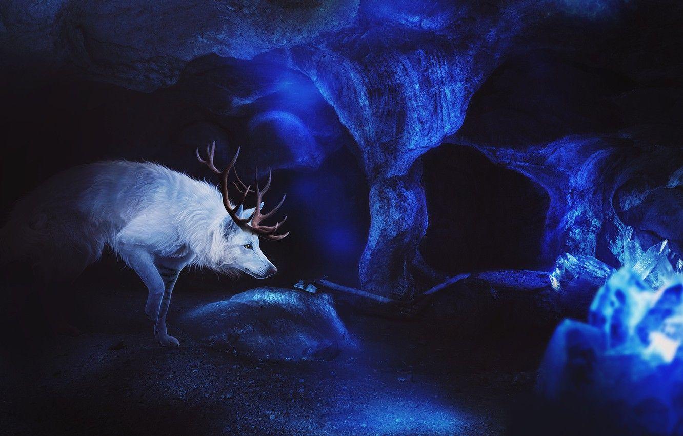 Ice Wolf Wallpapers - Top Free Ice Wolf Backgrounds - WallpaperAccess