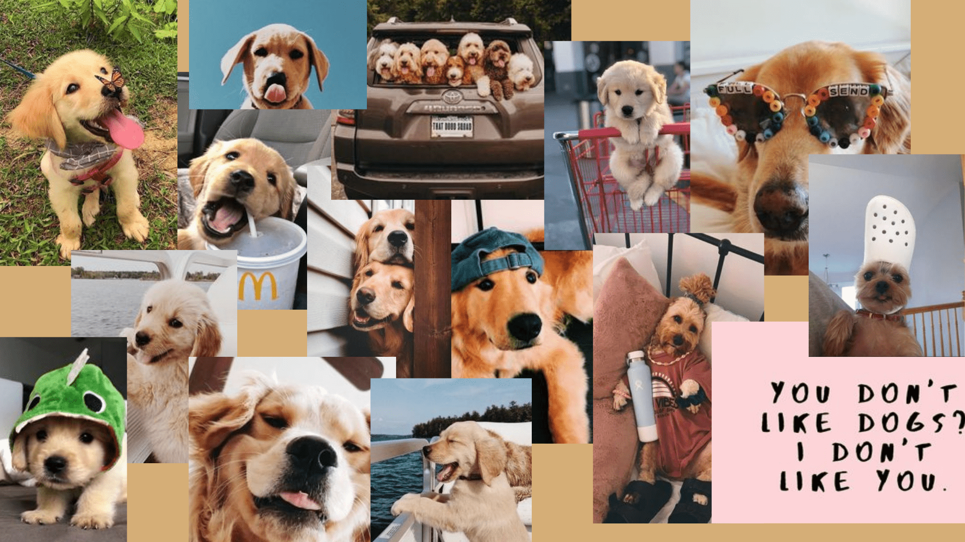 Dog Collage Wallpapers - Top Free Dog Collage Backgrounds - WallpaperAccess