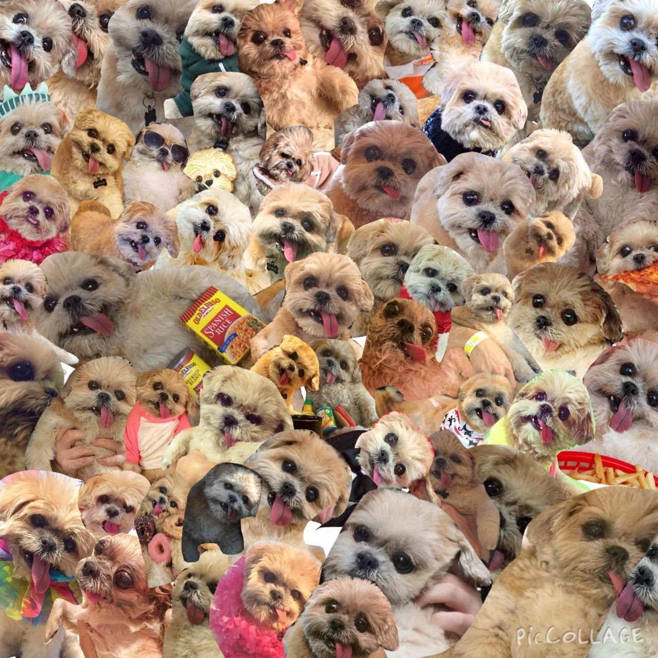 Dog Collage Wallpapers - Top Free Dog Collage Backgrounds - WallpaperAccess