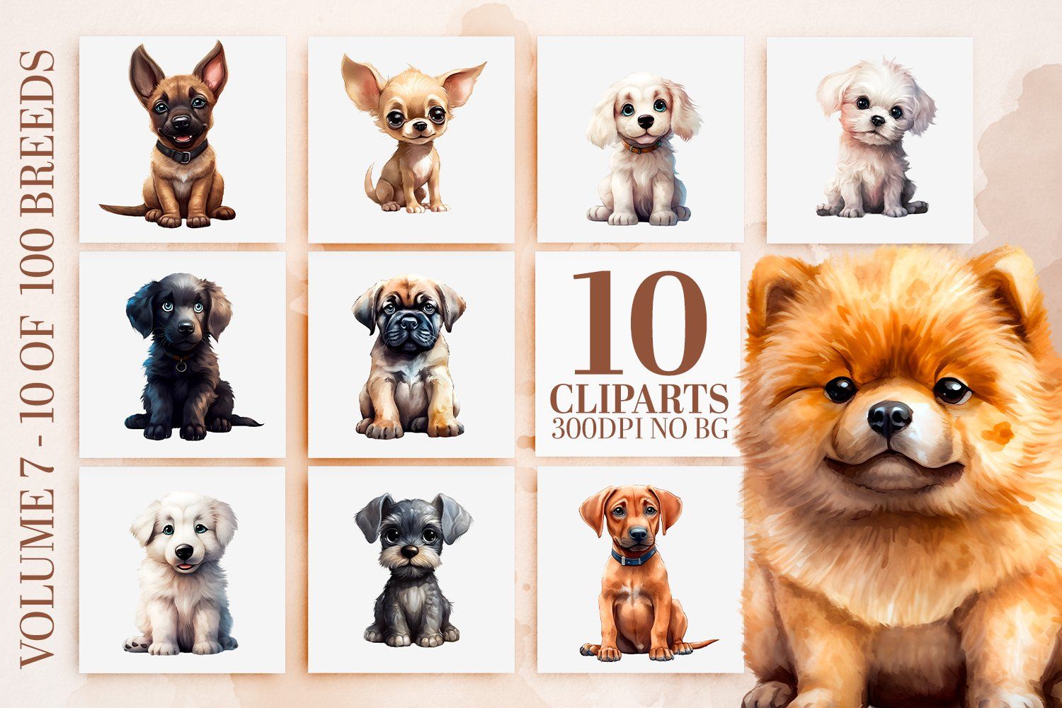 Dog Collage Wallpapers - Top Free Dog Collage Backgrounds - WallpaperAccess