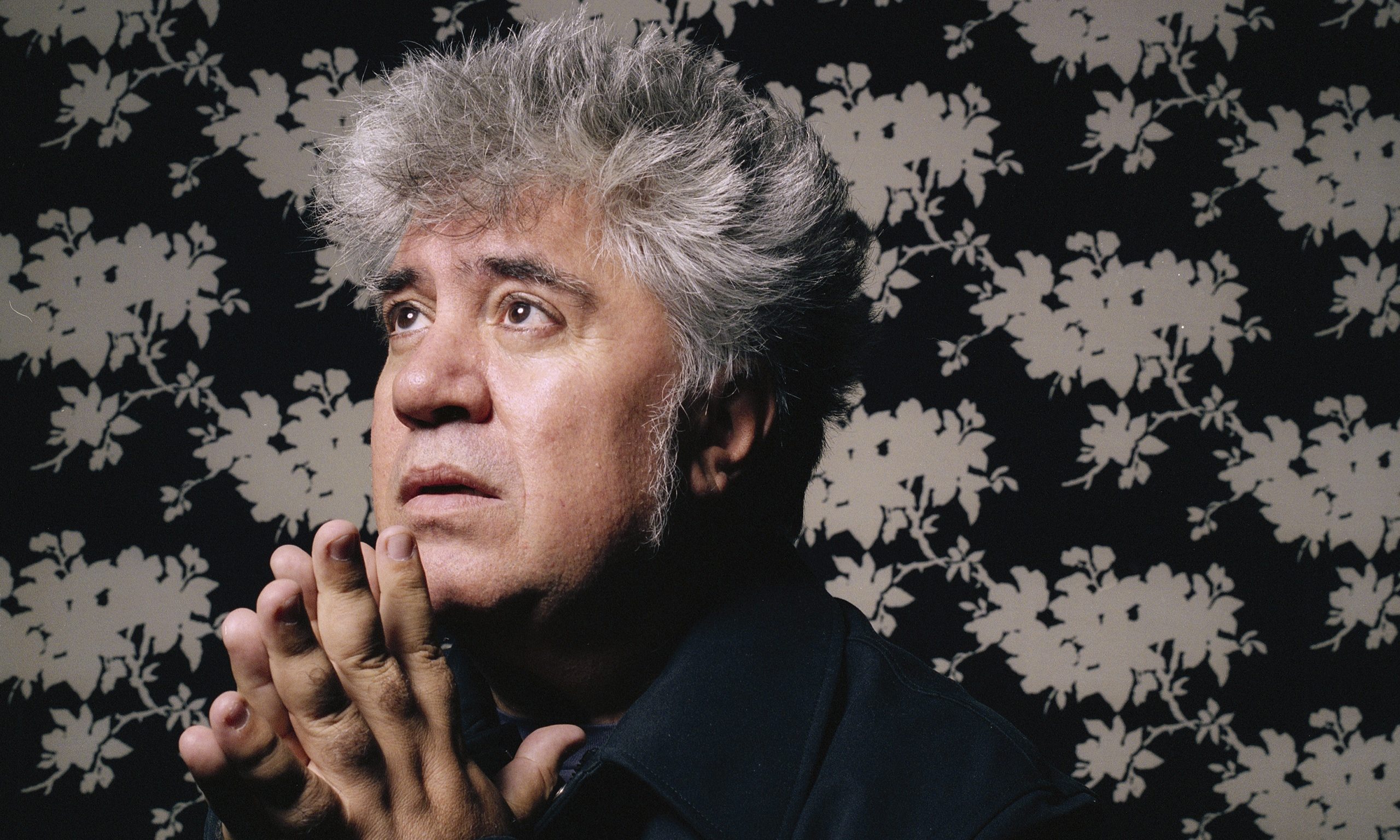 Pedro Almodóvar Wallpapers - Top Free Pedro Almodóvar Backgrounds ...