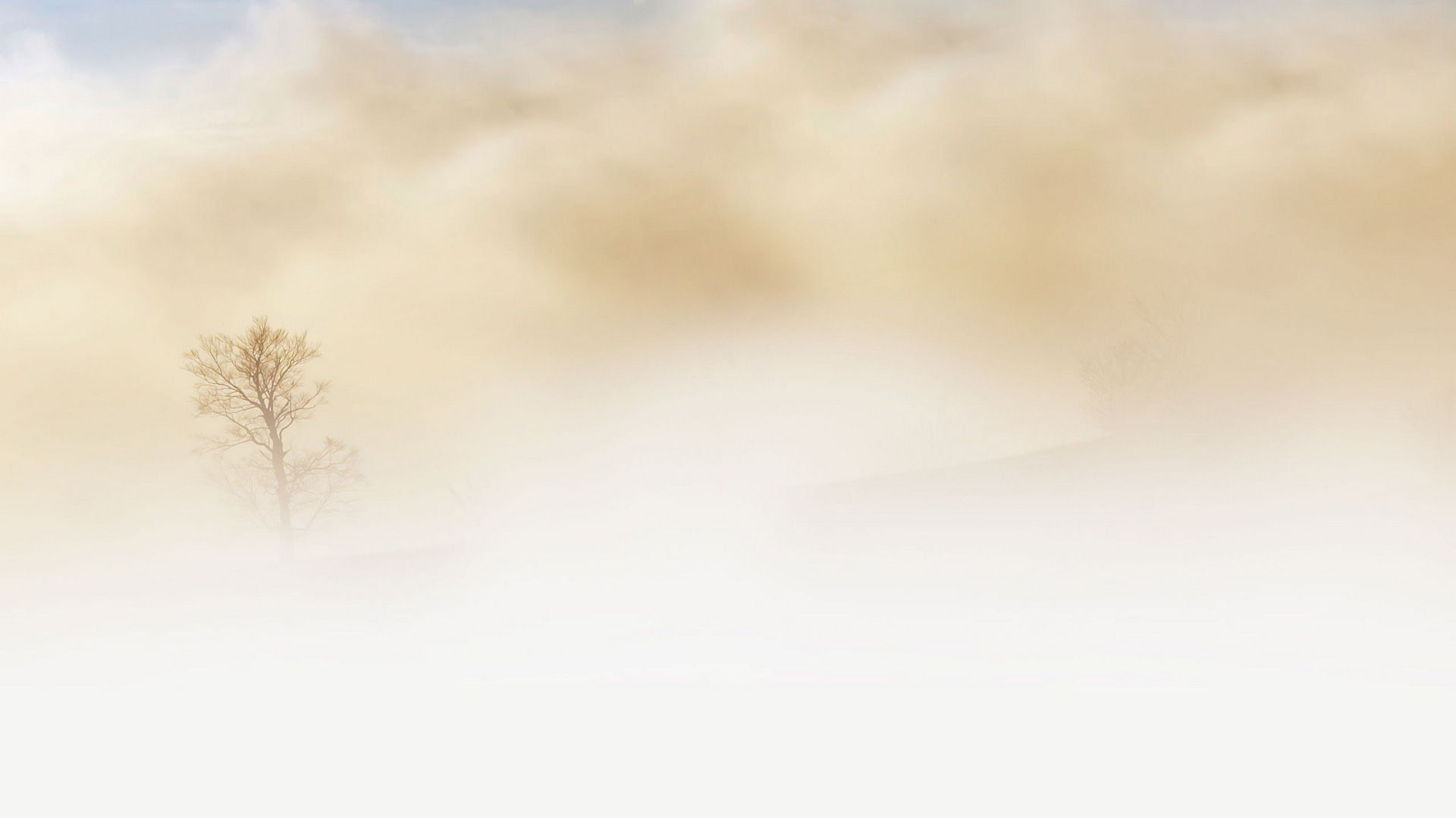 Beige 4k Wallpapers - Top Free Beige 4k Backgrounds - WallpaperAccess