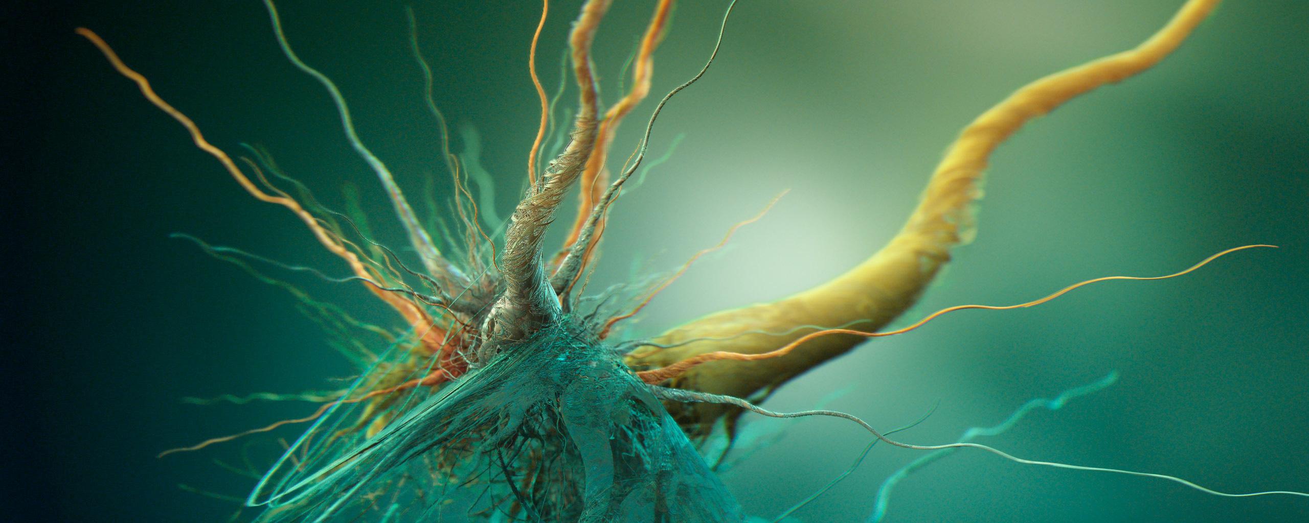 Abstract Dual Monitor Wallpapers - Top Free Abstract Dual Monitor ...