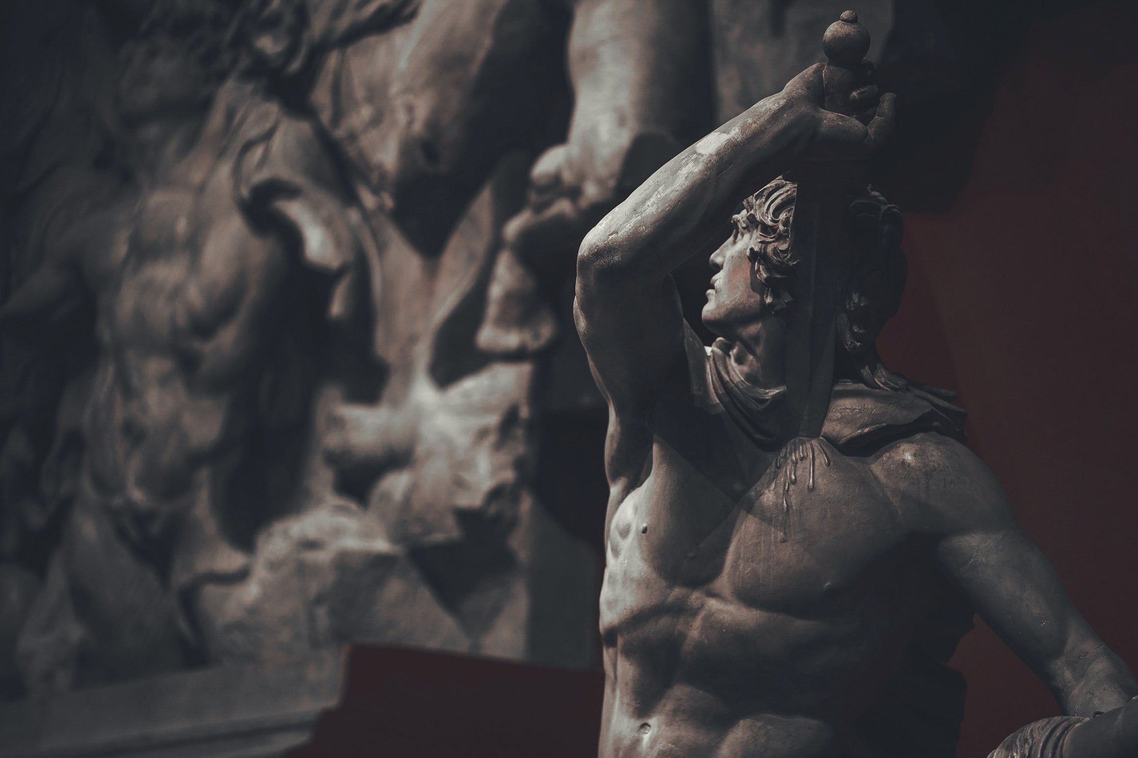 Gaul Wallpapers - Top Free Gaul Backgrounds - WallpaperAccess