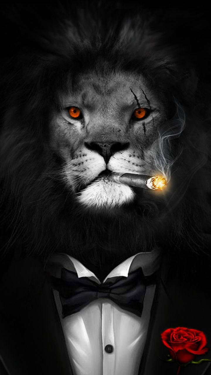 Lion Smoking Wallpapers - Top Free Lion Smoking Backgrounds ...