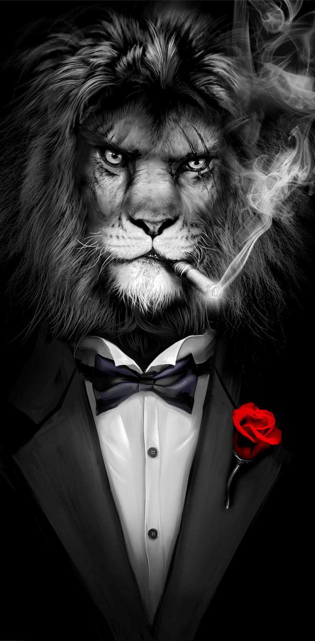 Lion Smoking Wallpapers - Top Free Lion Smoking Backgrounds ...