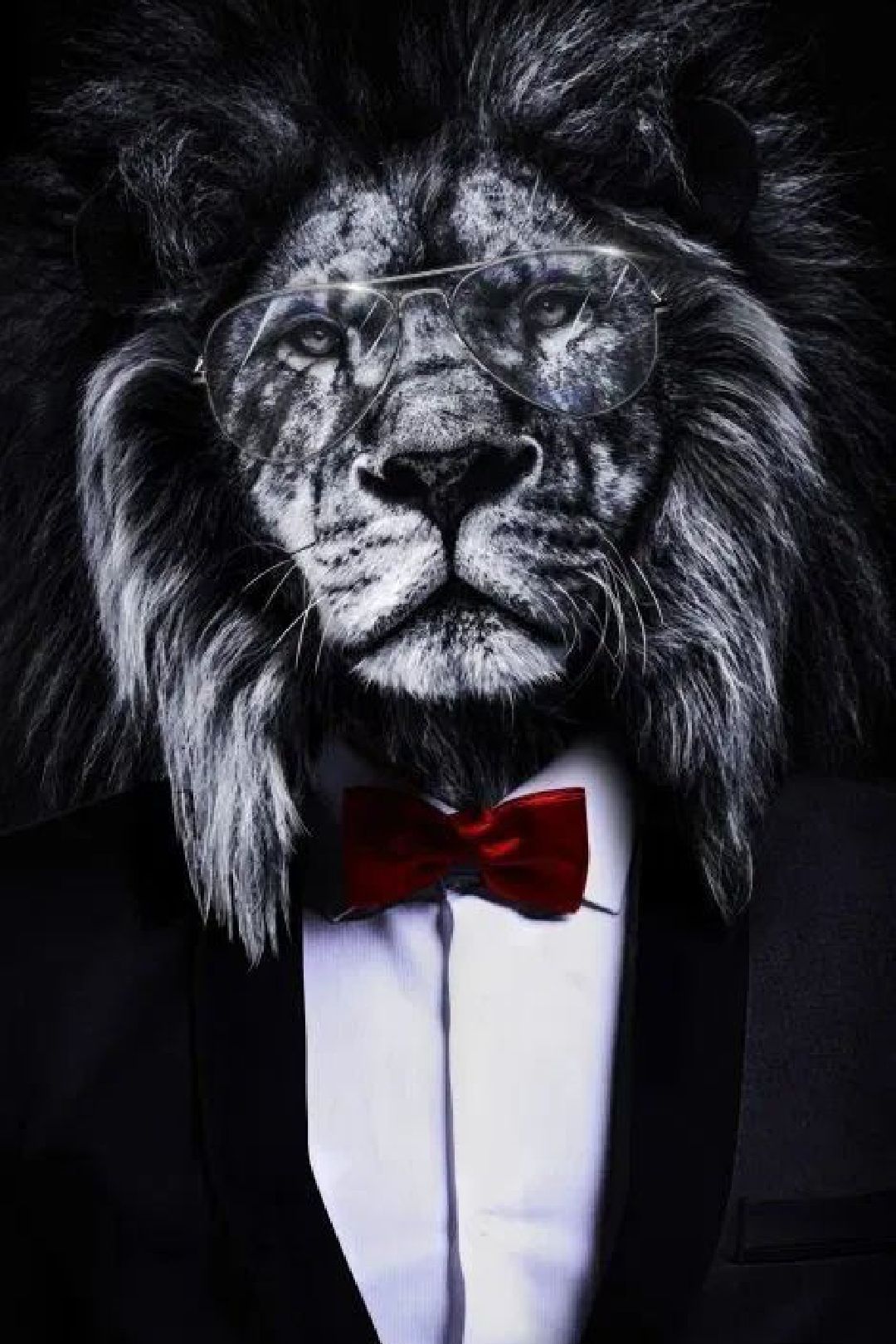 Lion Smoking Wallpapers - Top Free Lion Smoking Backgrounds ...