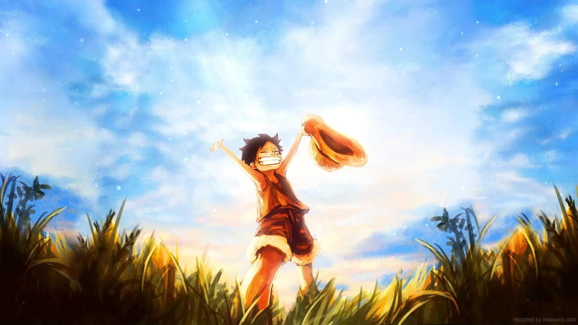 Small Luffy Wallpapers - Top Free Small Luffy Backgrounds - WallpaperAccess