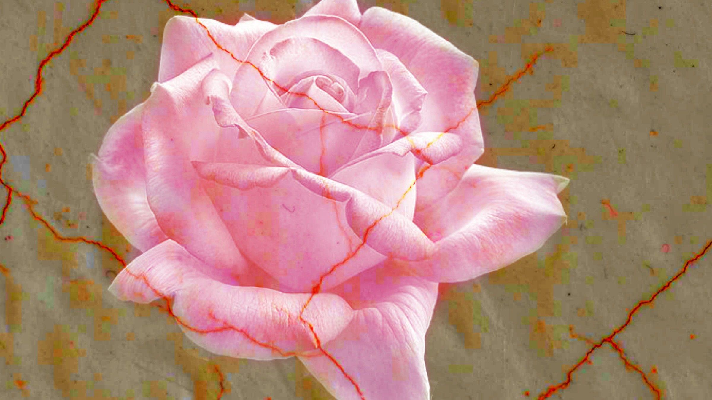 Marble Rose Wallpapers - Top Free Marble Rose Backgrounds - WallpaperAccess