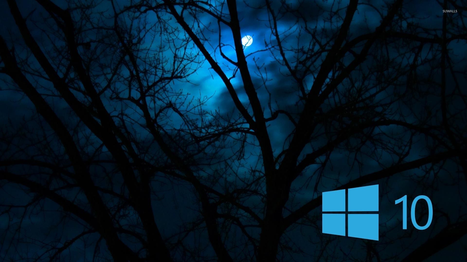 Night Window Wallpapers - Top Free Night Window Backgrounds ...