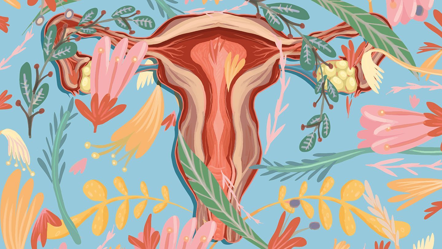 Uterus Wallpapers - Top Free Uterus Backgrounds - WallpaperAccess