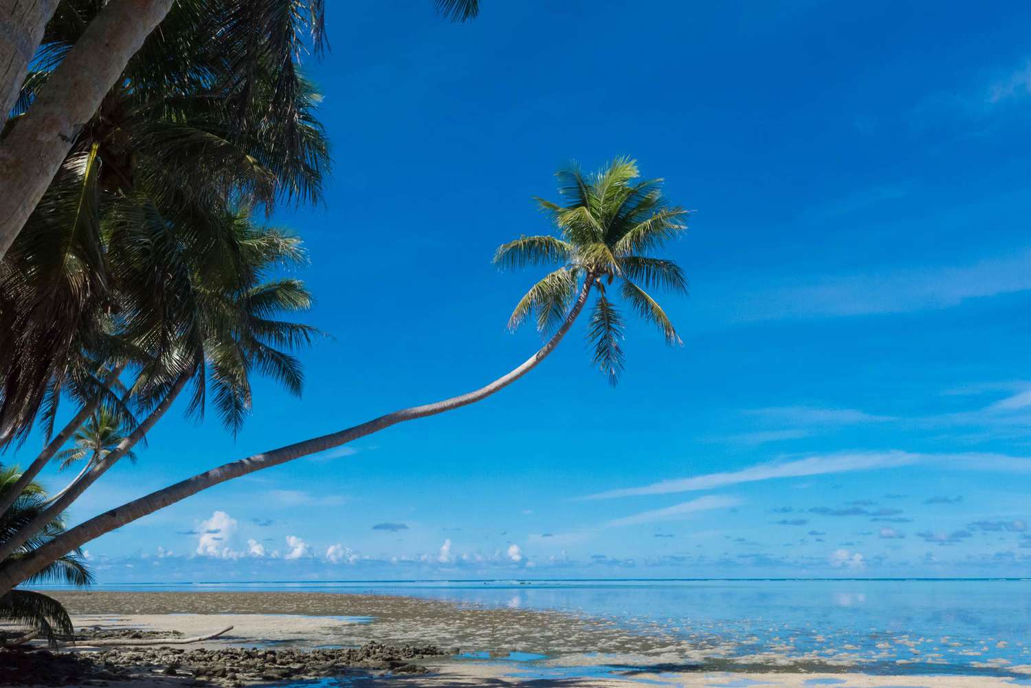 Micronesia Wallpapers - Top Free Micronesia Backgrounds - WallpaperAccess