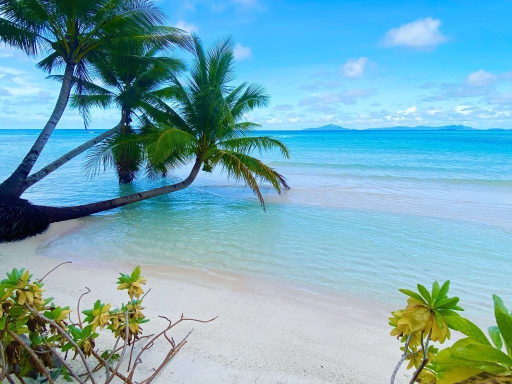 Micronesia Wallpapers - Top Free Micronesia Backgrounds - WallpaperAccess