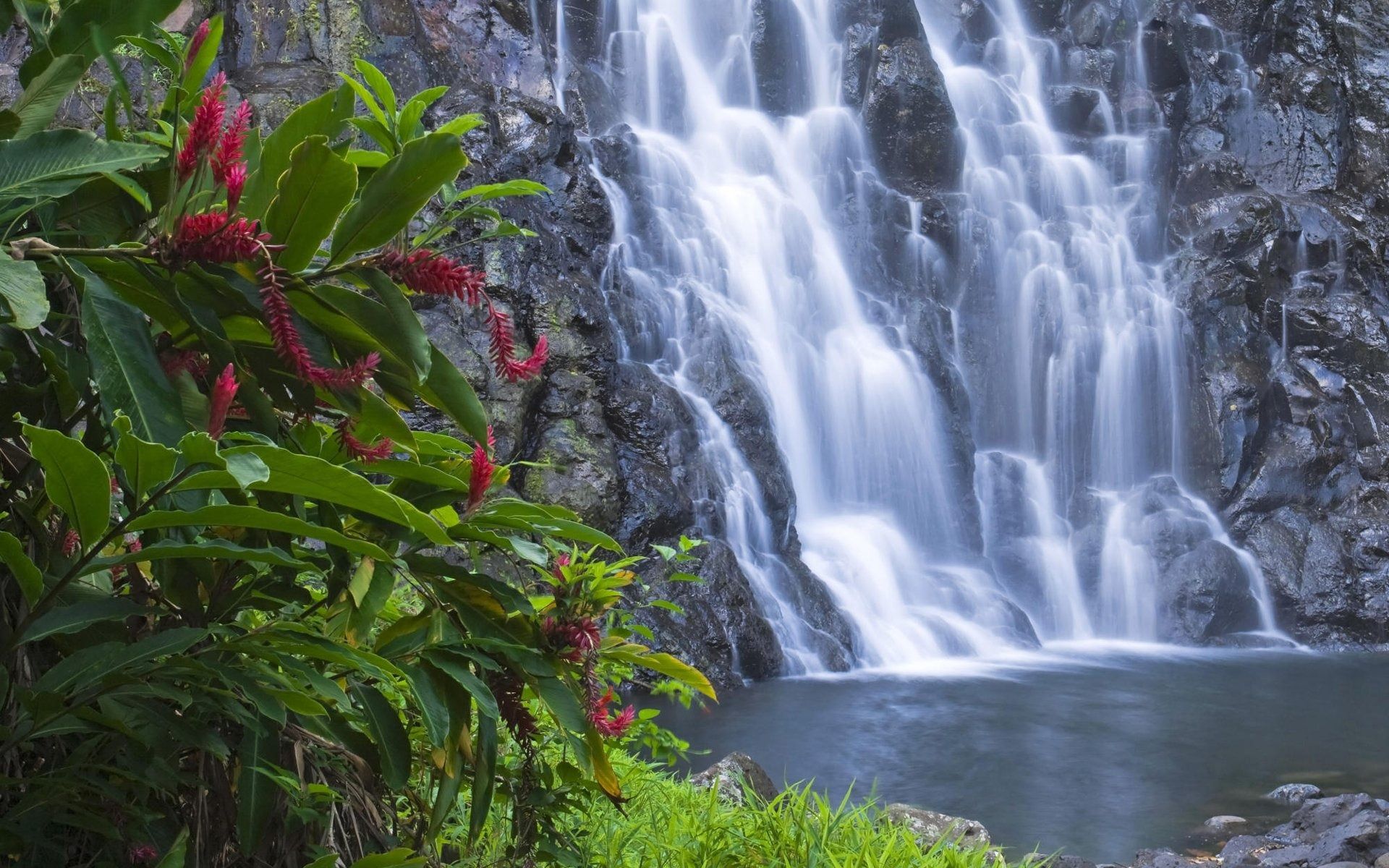 Micronesia Wallpapers - Top Free Micronesia Backgrounds - WallpaperAccess