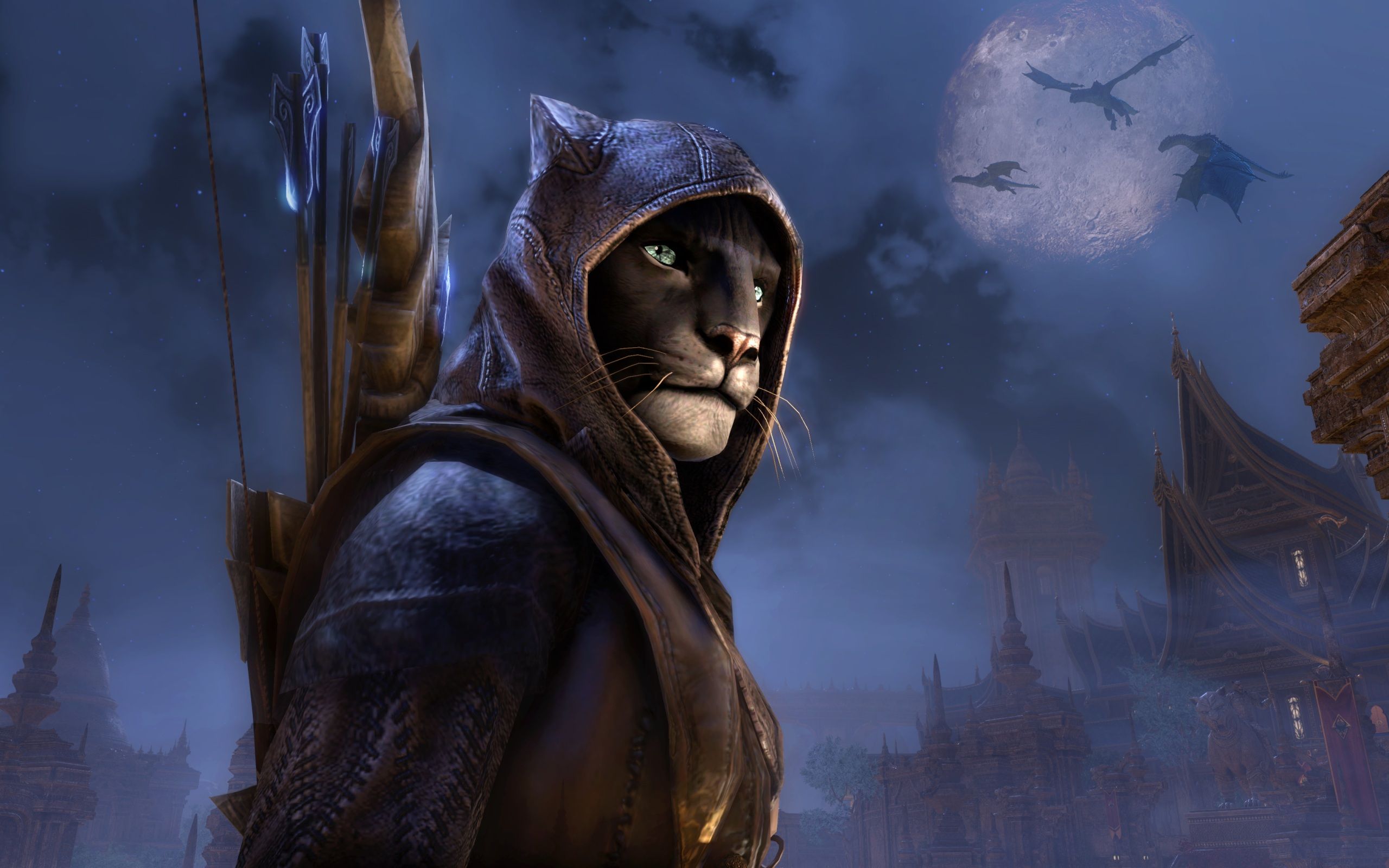 Khajiit Wallpapers - Top Free Khajiit Backgrounds - WallpaperAccess