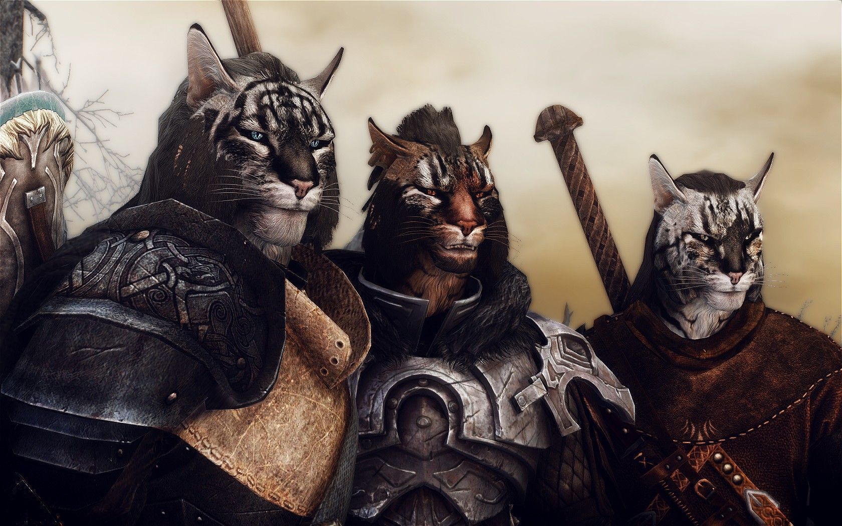 Khajiit Wallpapers - Top Free Khajiit Backgrounds - WallpaperAccess