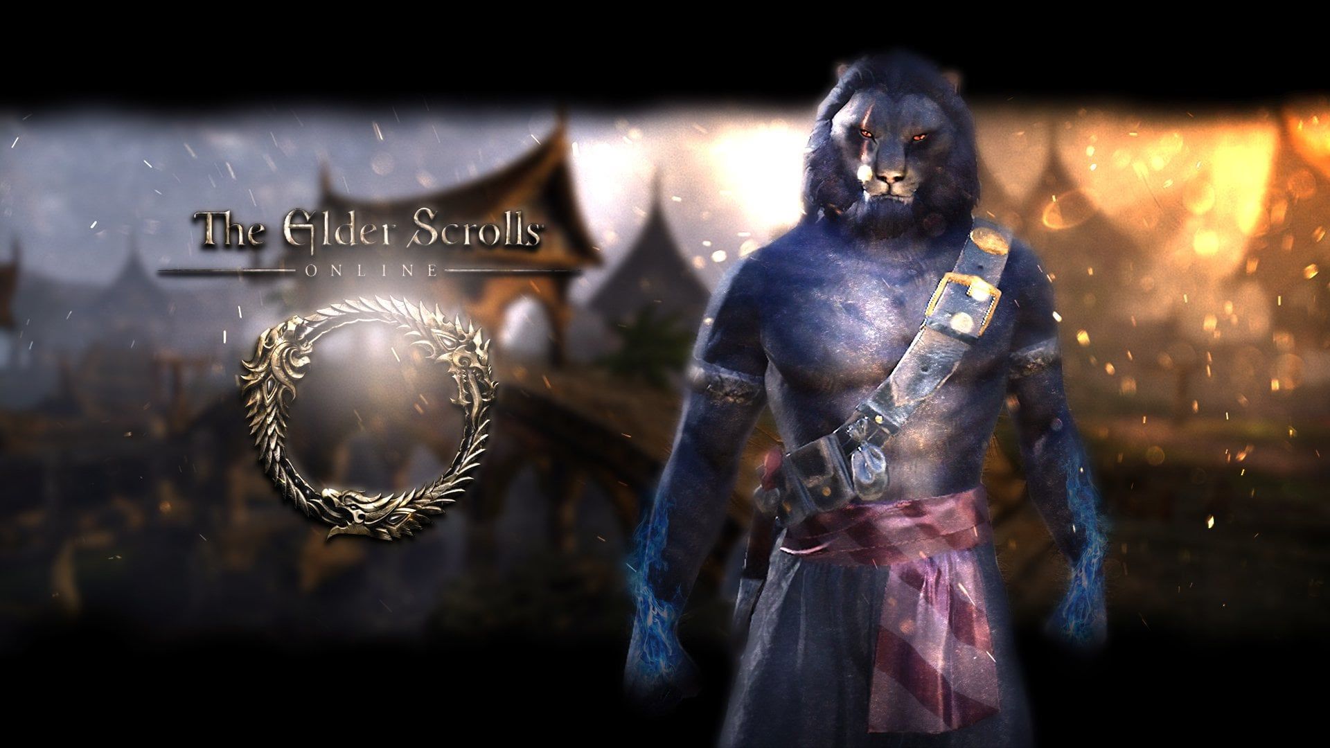 Khajiit Wallpapers - Top Free Khajiit Backgrounds - WallpaperAccess