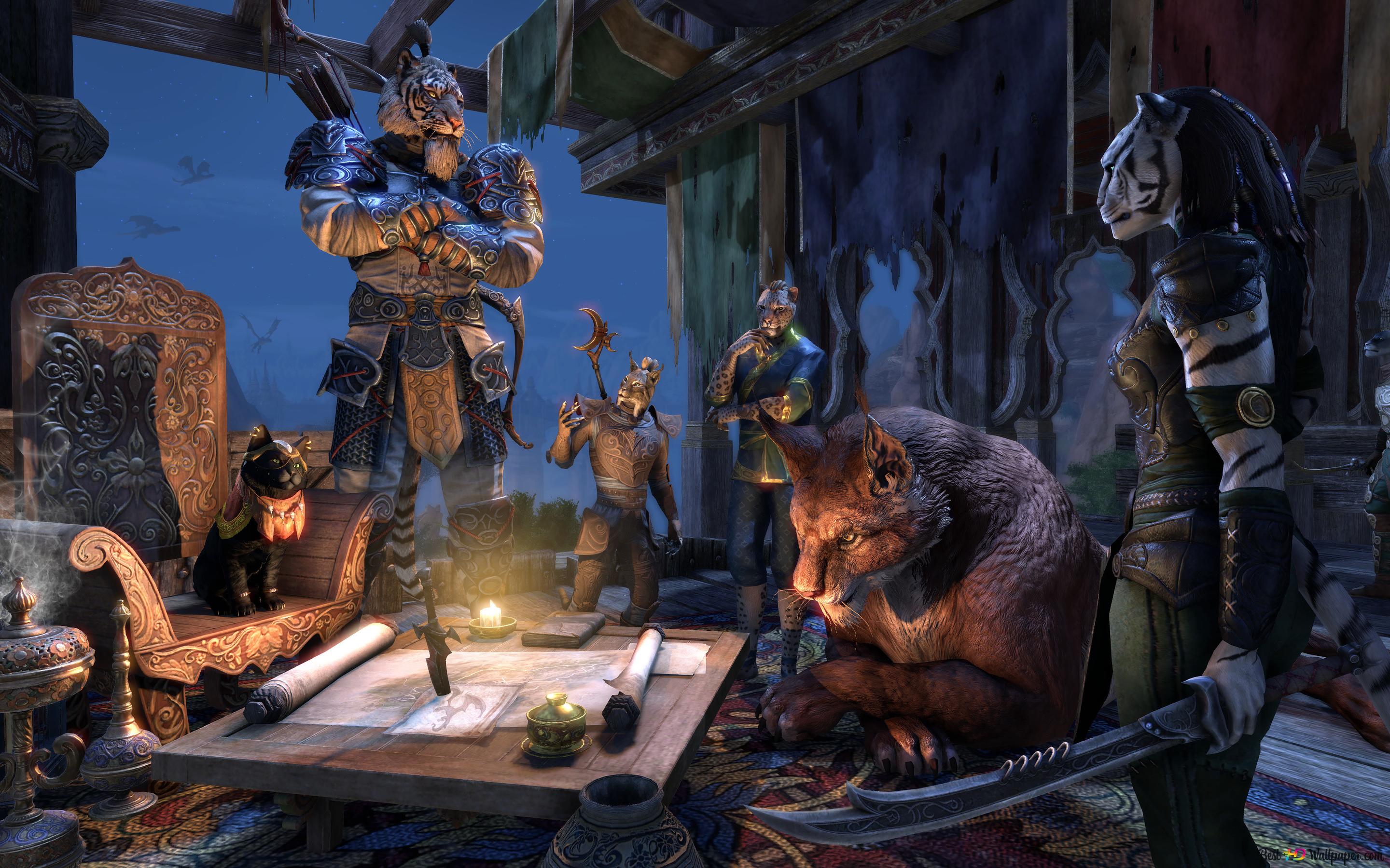 Khajiit Wallpapers - Top Free Khajiit Backgrounds - WallpaperAccess