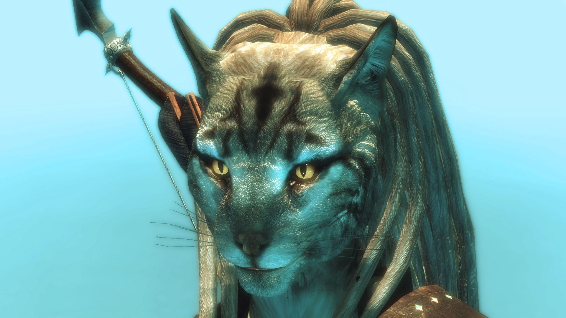 Khajiit Wallpapers - Top Free Khajiit Backgrounds - WallpaperAccess