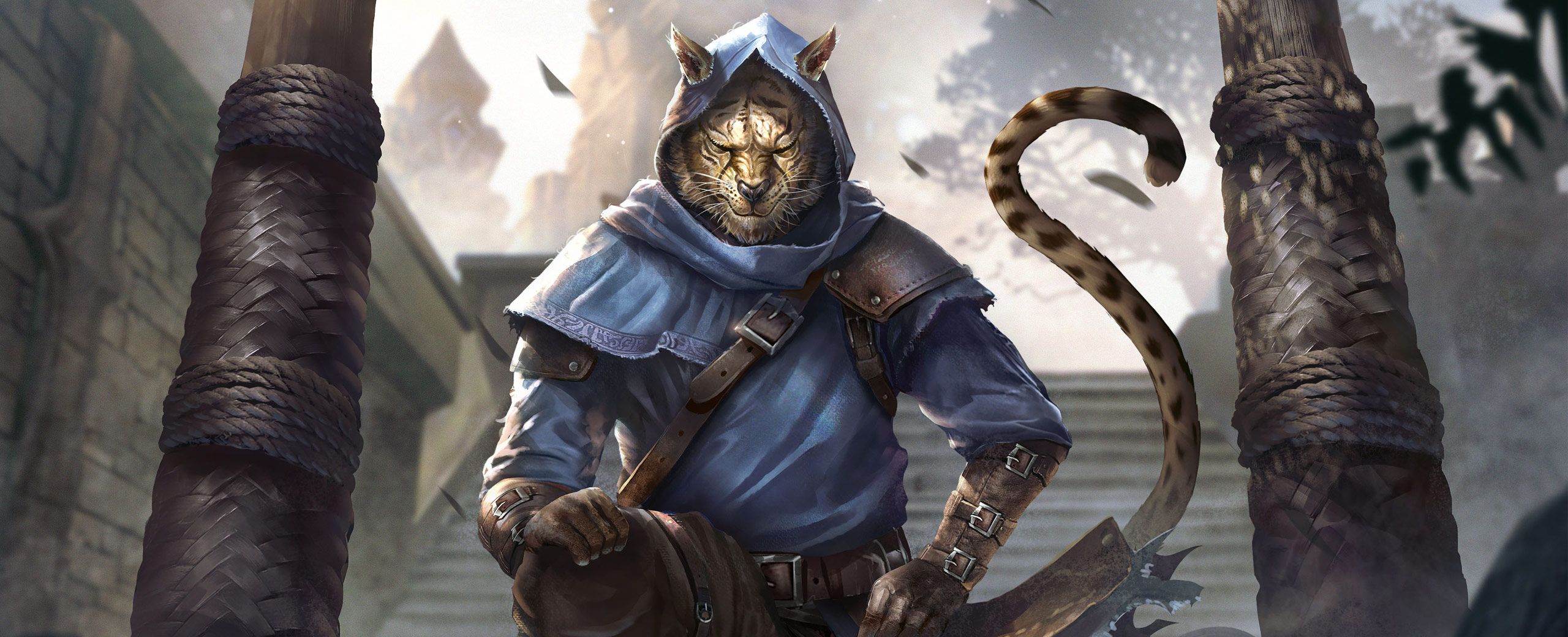 Khajiit Wallpapers - Top Free Khajiit Backgrounds - WallpaperAccess