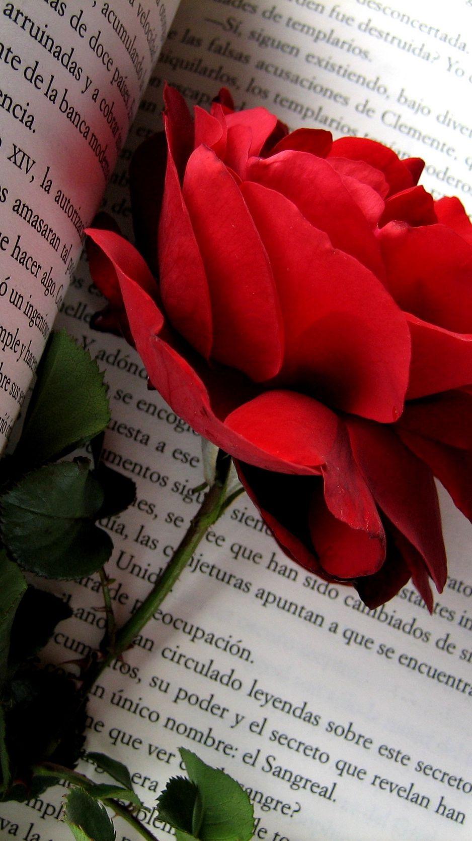 Books and Rose iPhone Wallpapers - Top Free Books and Rose iPhone ...
