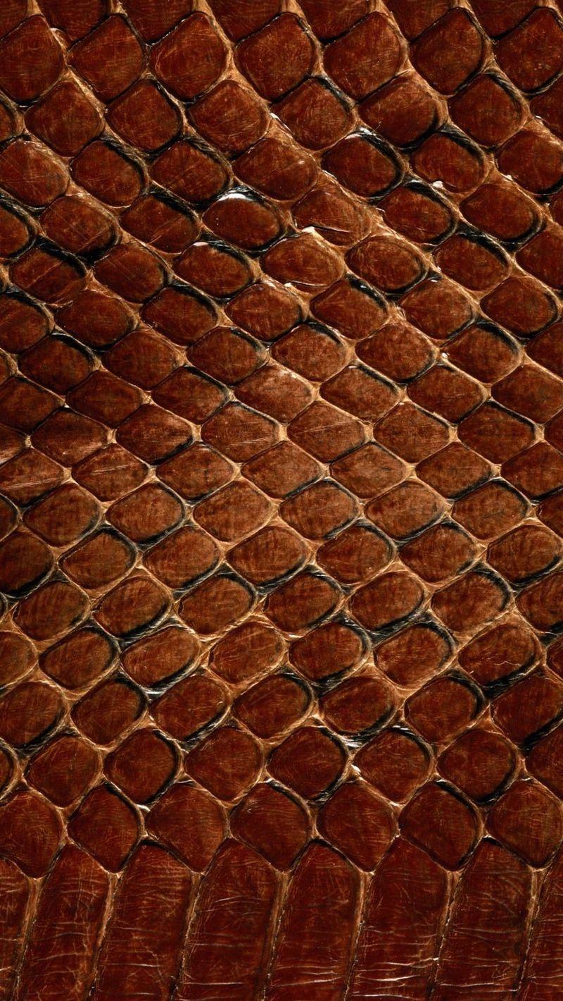 Reptile Scales iPhone Wallpapers - Top Free Reptile Scales iPhone ...