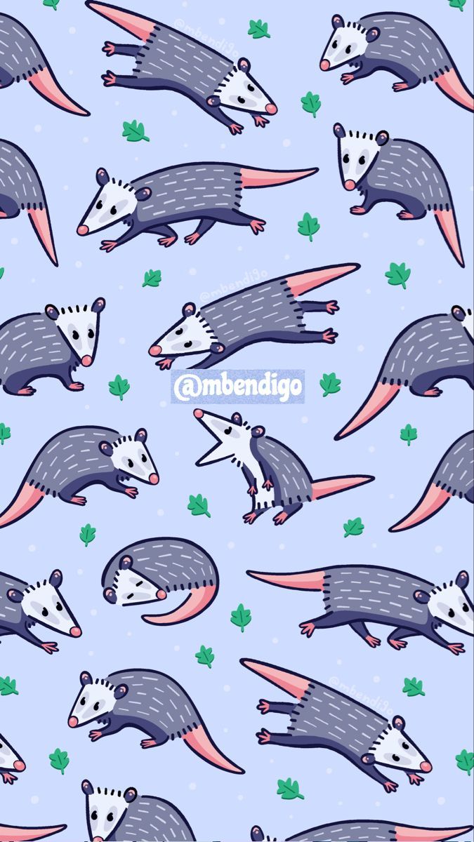 Opossum Wallpapers - Top Free Opossum Backgrounds - WallpaperAccess