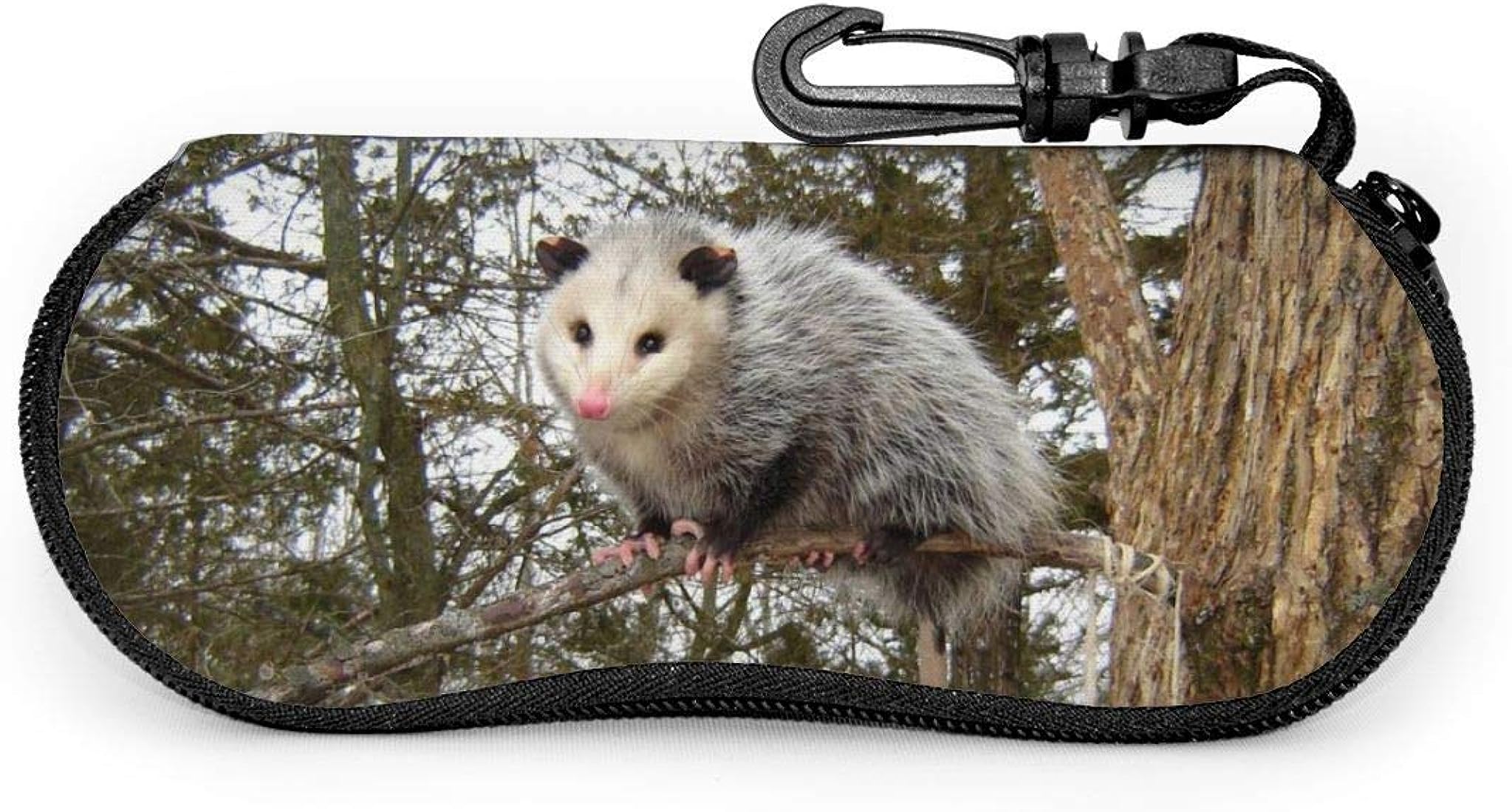 Opossum Wallpapers - Top Free Opossum Backgrounds - WallpaperAccess