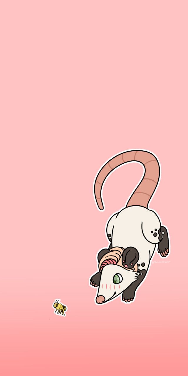 Opossum Wallpapers - Top Free Opossum Backgrounds - WallpaperAccess