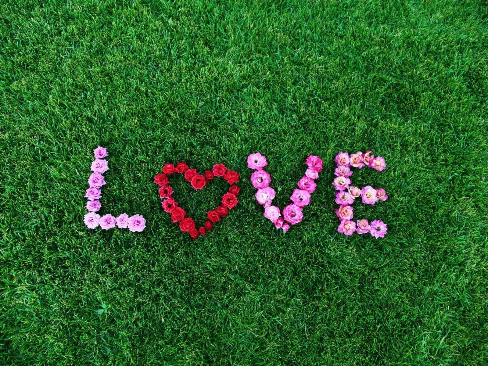 Love Flower Wallpapers - Top Free Love Flower Backgrounds - WallpaperAccess