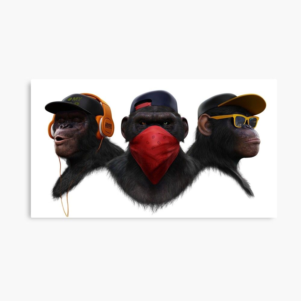 3 Monkeys Wallpapers - Top Free 3 Monkeys Backgrounds - WallpaperAccess