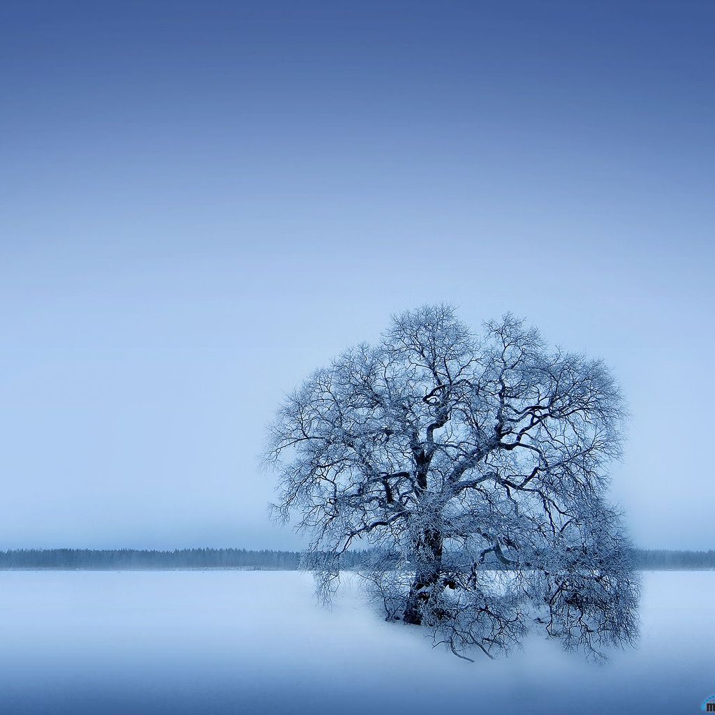 Bleak Wallpapers - Top Free Bleak Backgrounds - WallpaperAccess