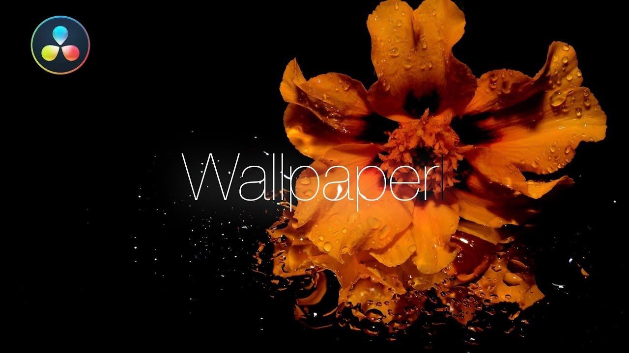 DaVinci Resolve Wallpapers - Top Free DaVinci Resolve Backgrounds ...