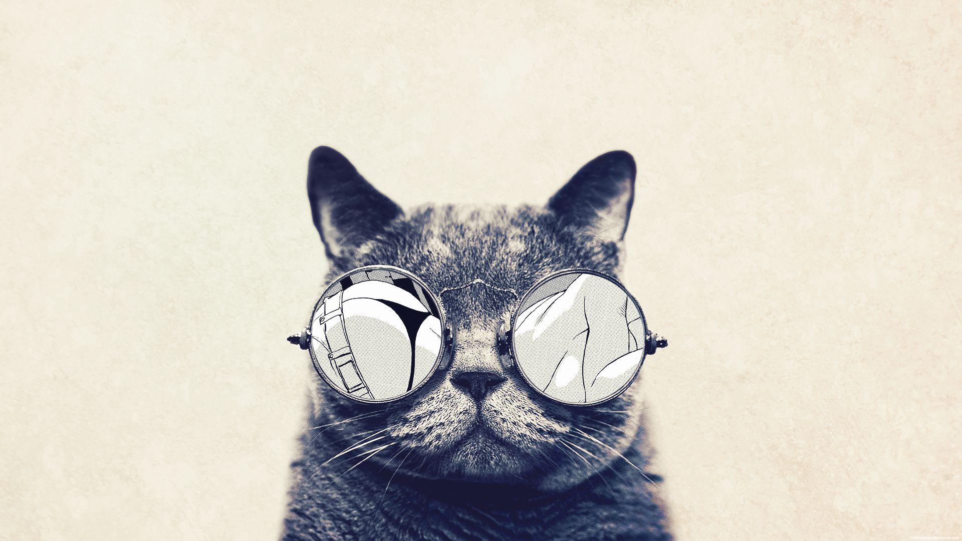 Hipster Wolf Desktop Wallpapers - Top Free Hipster Wolf Desktop ...