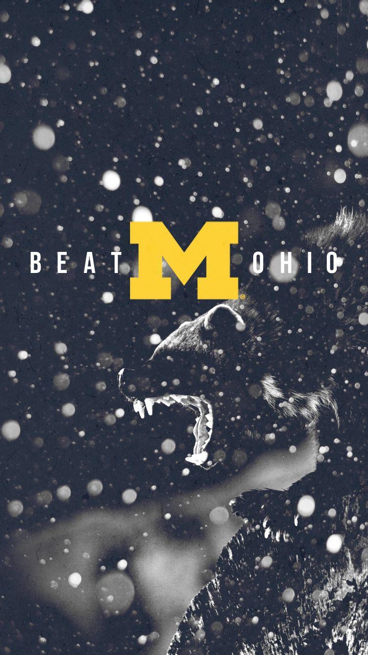 Michigan Wallpapers - Top Free Michigan Backgrounds - WallpaperAccess