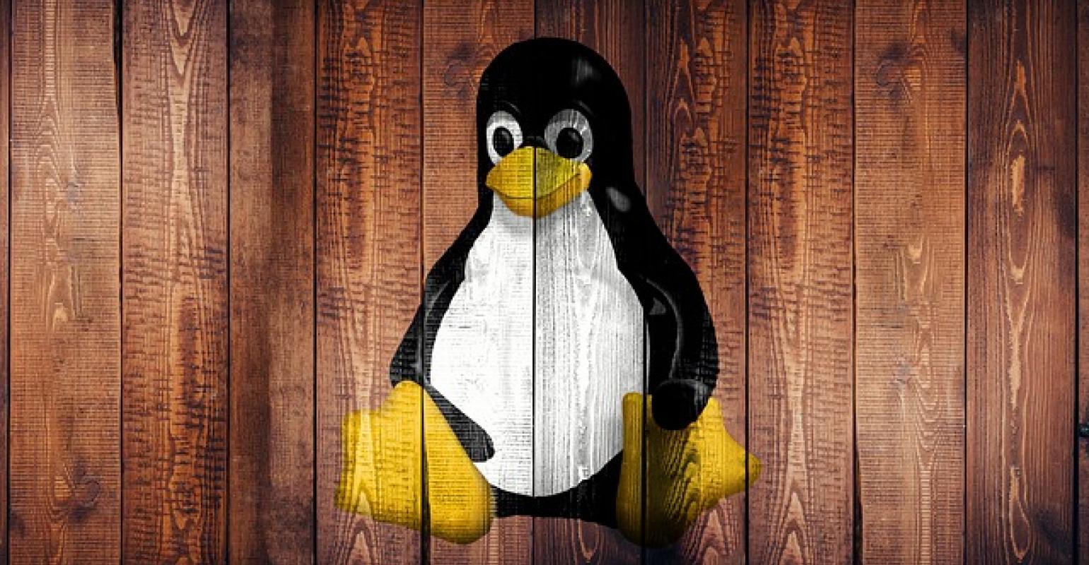 Linus Torvalds Wallpapers - Top Free Linus Torvalds Backgrounds ... Linus Torvalds Wallpapers - Top Free Linus Torvalds Backgrounds ...