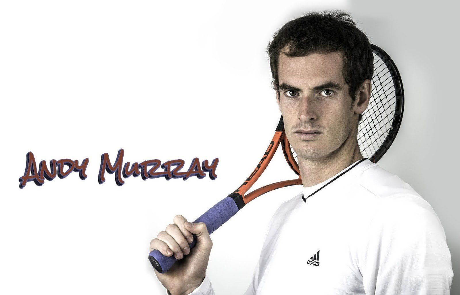 Andy Murray Wallpapers - Top Free Andy Murray Backgrounds - WallpaperAccess