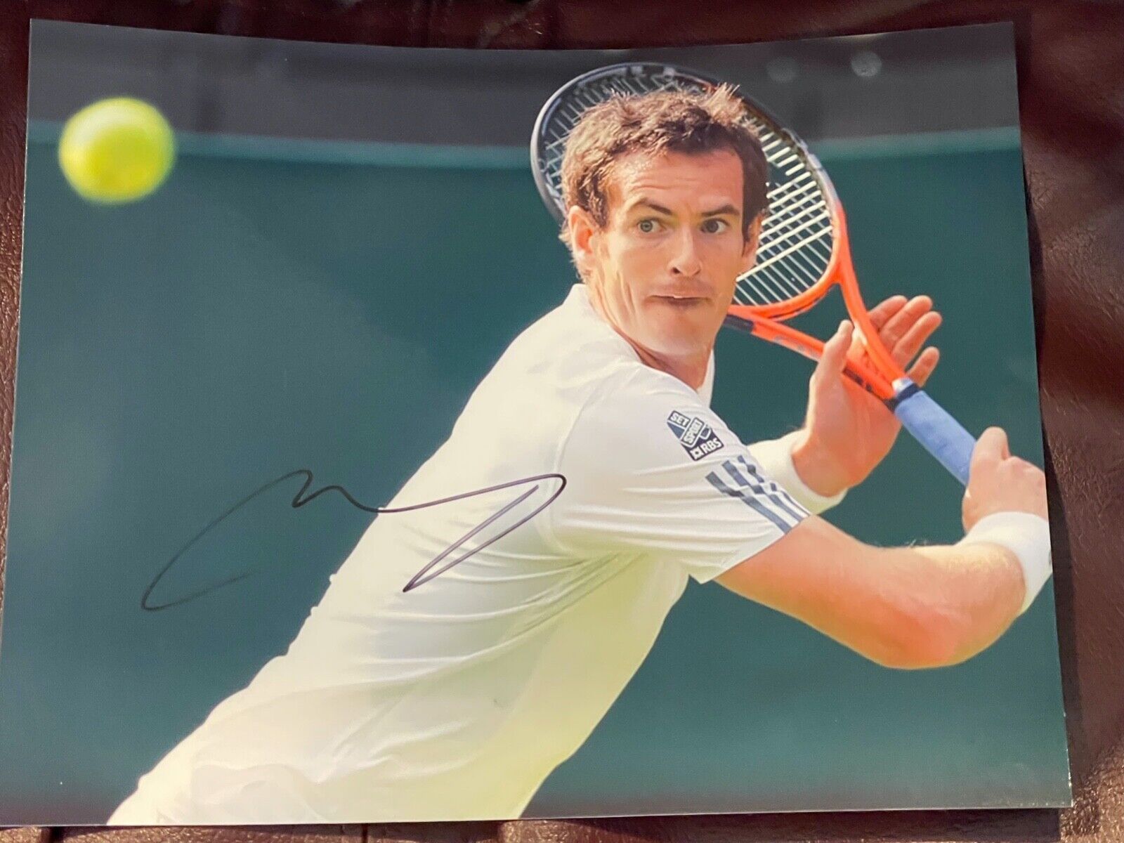 Andy Murray Wallpapers - Top Free Andy Murray Backgrounds - WallpaperAccess