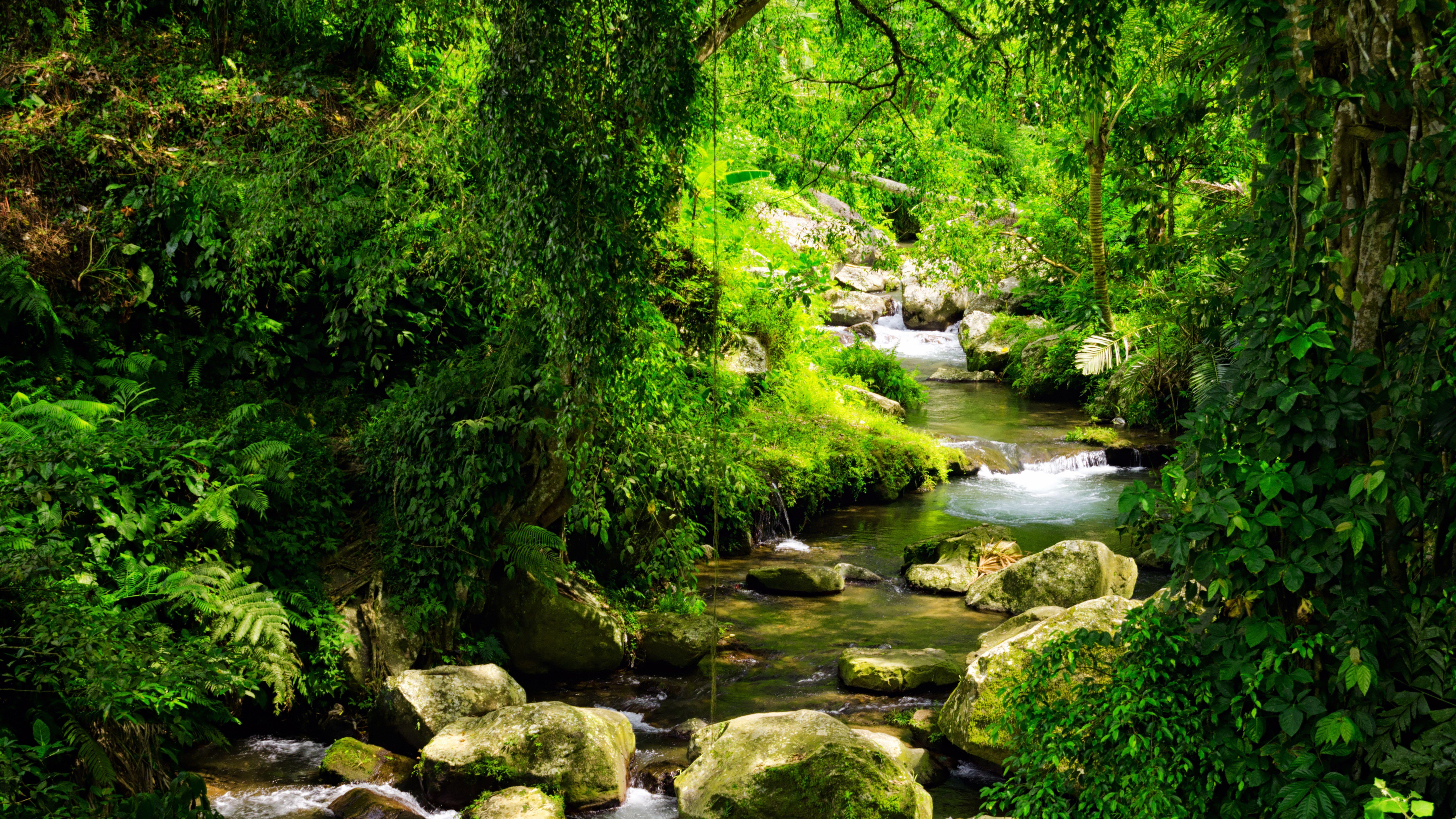 7680 X 4320 Wallpapers - Top Free 7680 X 4320 Backgrounds - WallpaperAccess